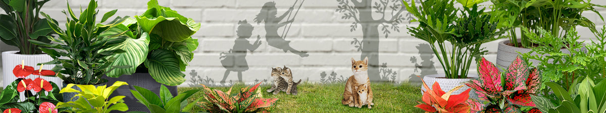 Potted Plants – shopmosscape