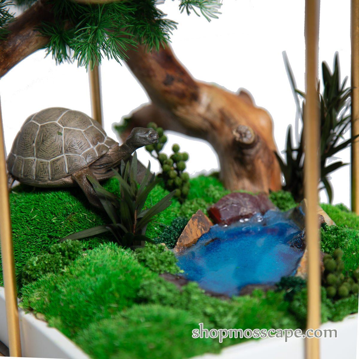 Preserved Moss Decor with Tortoise | Corporate Gift Idea – shopmosscape