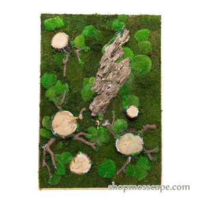 Framed Preserved Moss Art in Singapore | Shop Online Today – shopmosscape